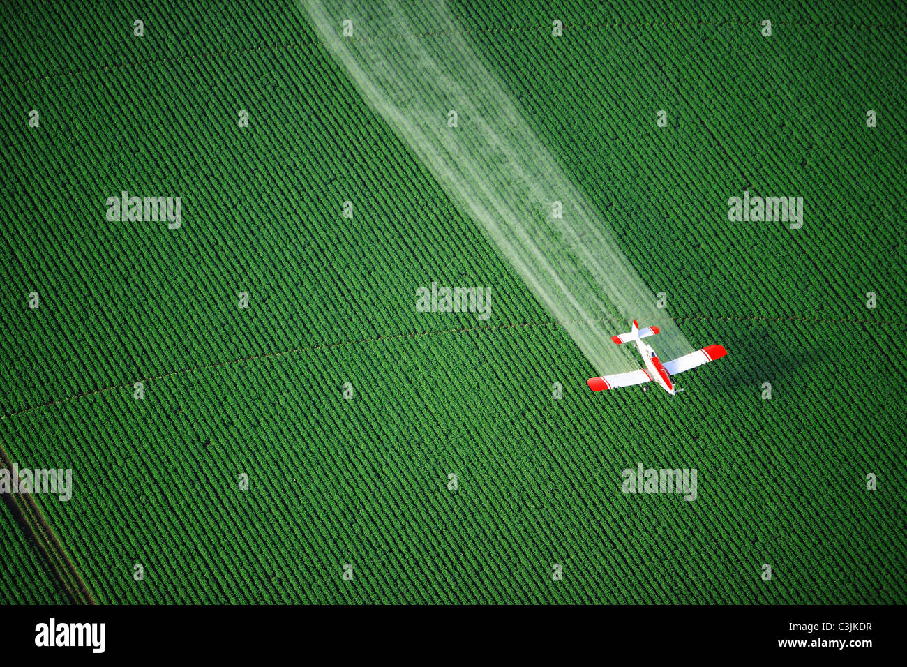 An overhead view of a crop duster spraying a green farm field Stock ...