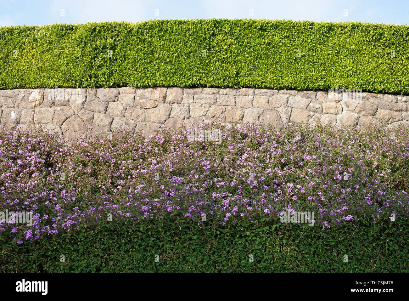 Tidy hedge hi-res stock photography and images - Alamy