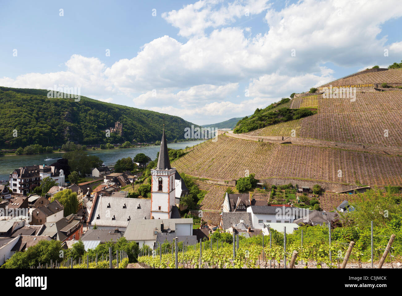 Europe, Germany, Rhineland-Palatinate, View of castle and ...