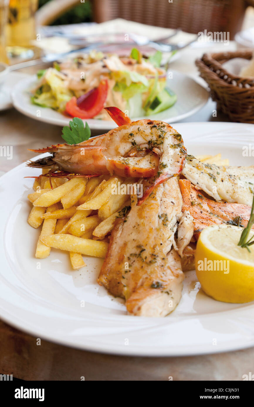 Fish platter with zander filet, salmon filet, sea bass filet, scampis ...