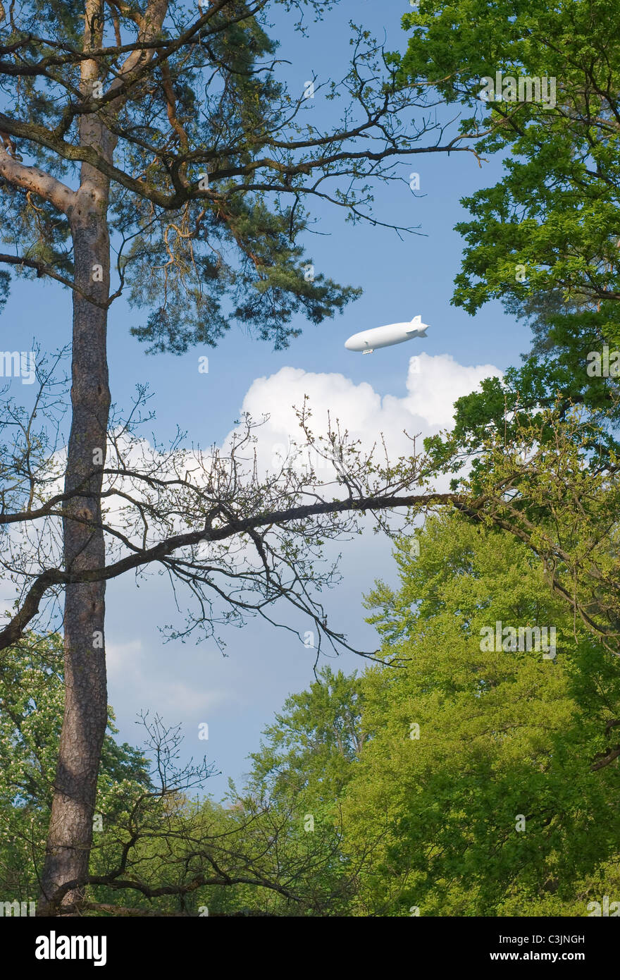 Aerial view flying through trees hi-res stock photography and images ...