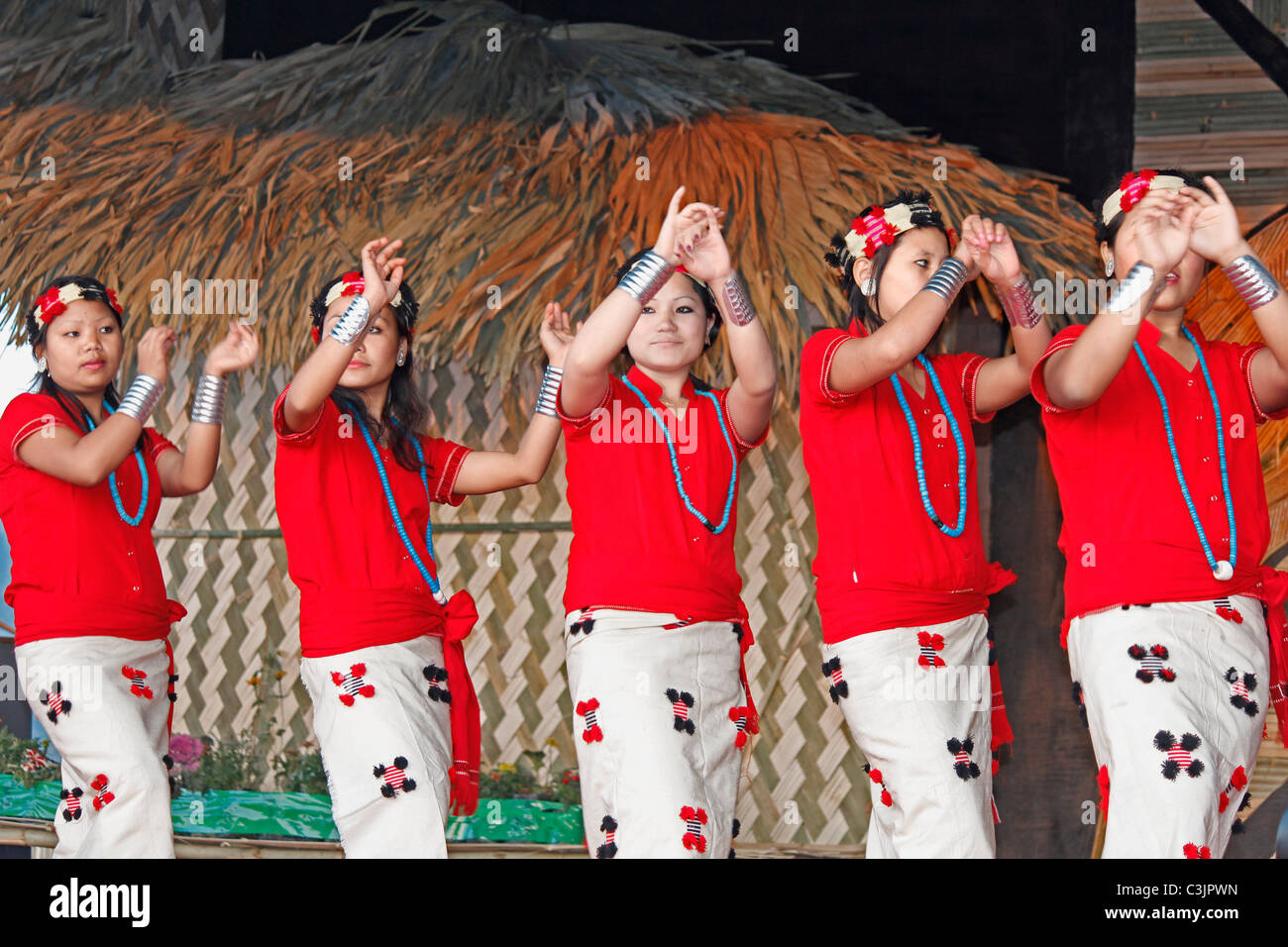 Nyishi tribes, women performing dance at Namdapha Eco Cultural Festival ...