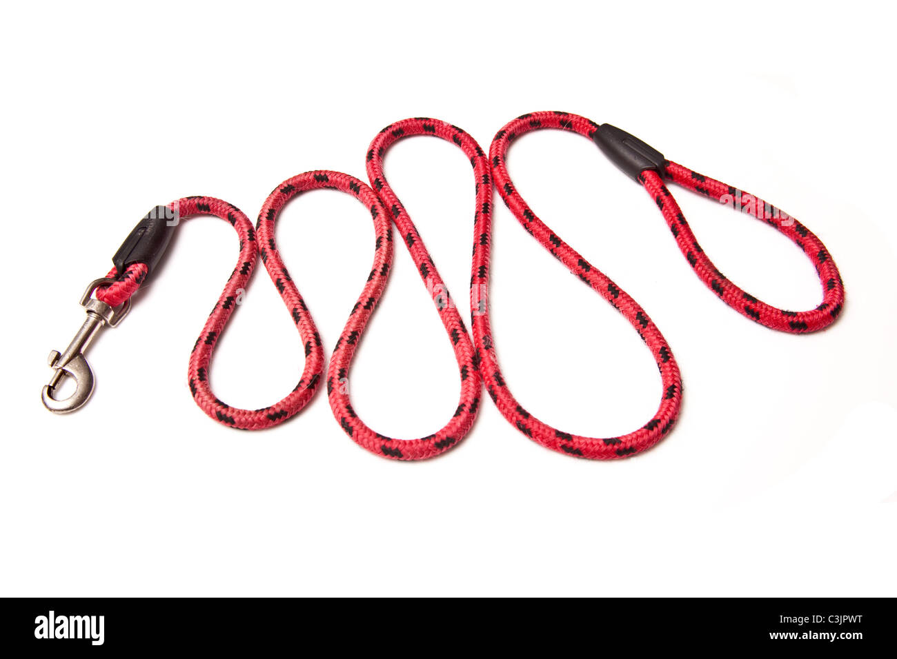 Dog Lead isolated on a white studio background Stock Photo - Alamy