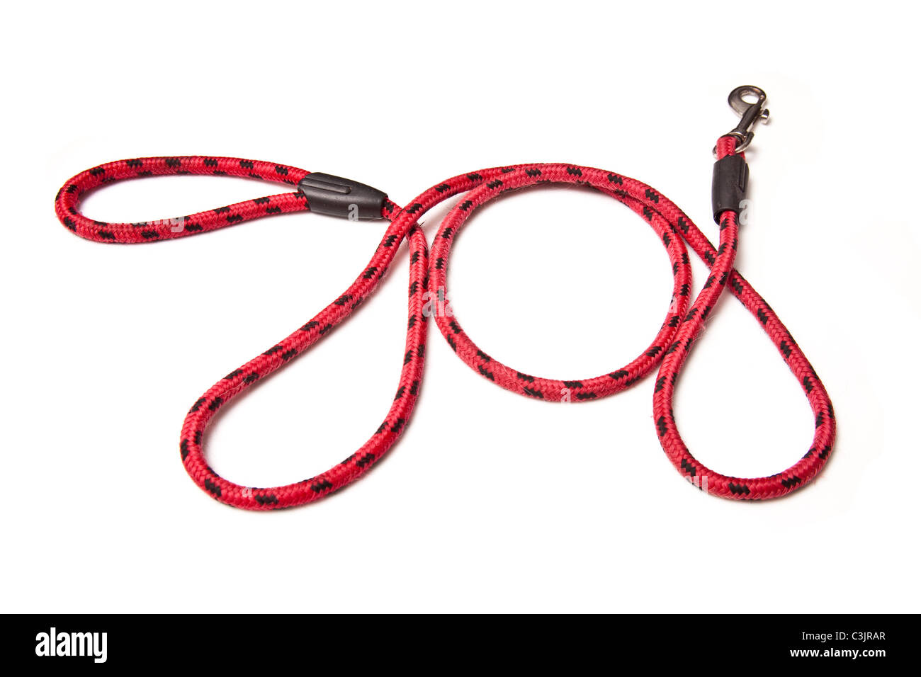 Dog Lead isolated on a white studio background Stock Photo - Alamy