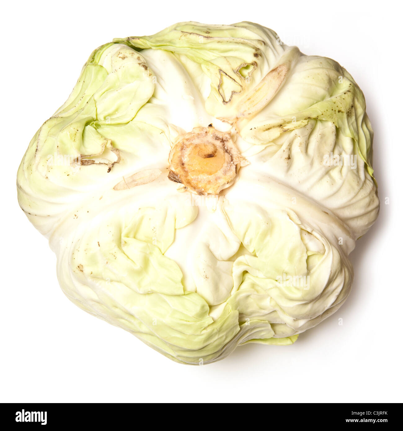 Turkish cabbage isolated on a white studio background Stock Photo - Alamy