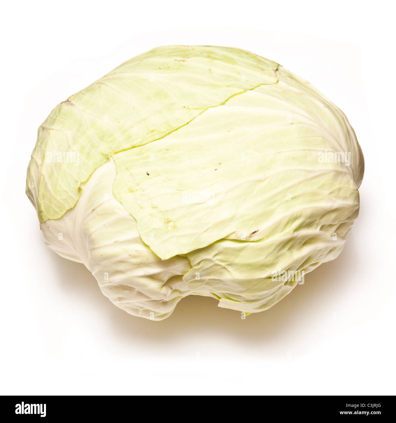 Turkish cabbage isolated on a white studio background Stock Photo - Alamy
