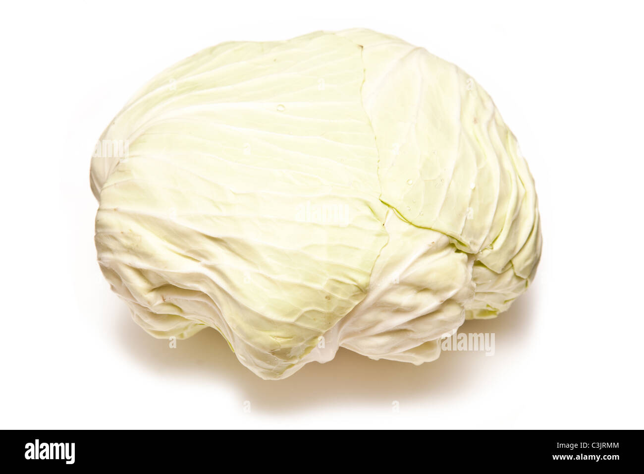 Turkish cabbage isolated on a white studio background Stock Photo - Alamy