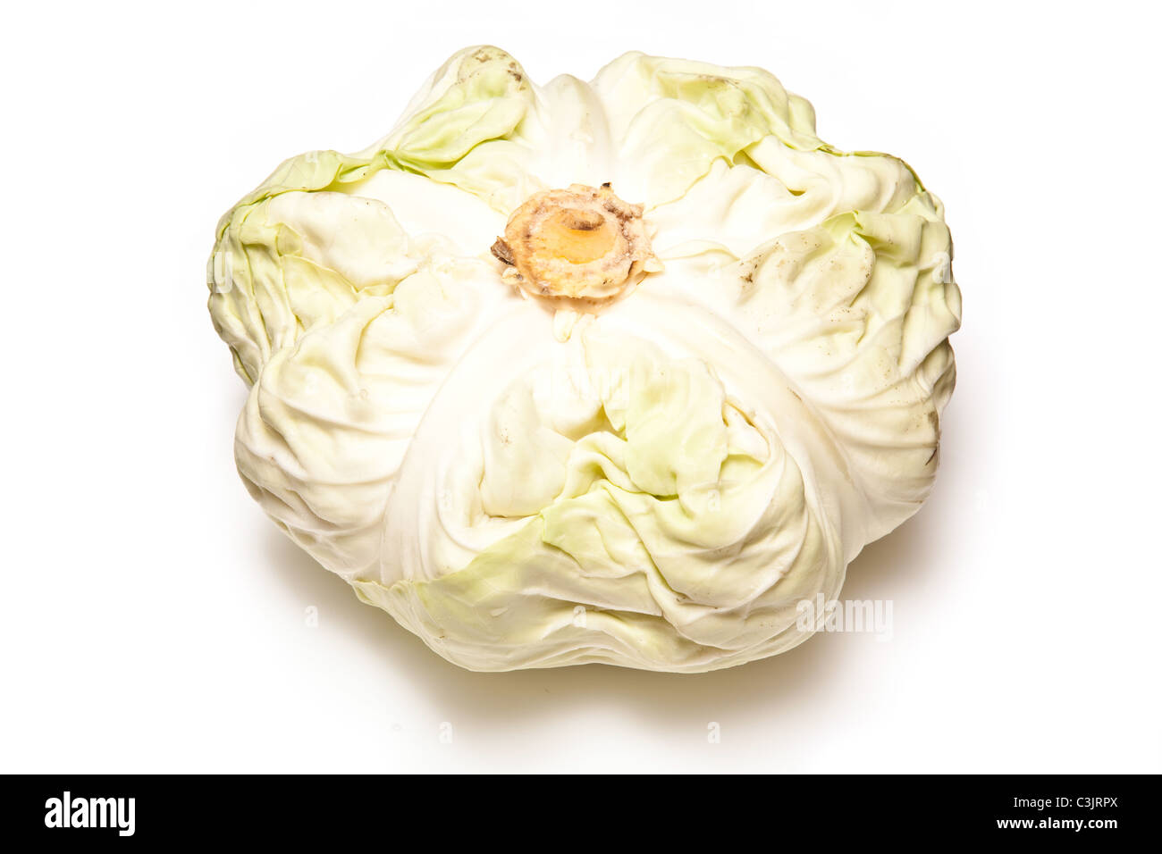 Turkish cabbage isolated on a white studio background Stock Photo - Alamy