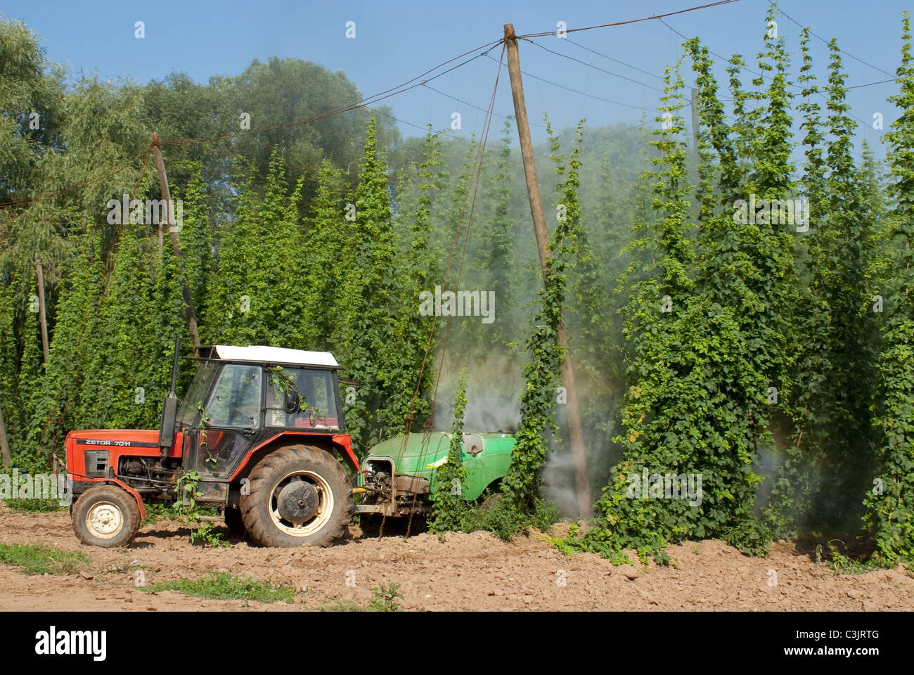 chemical spray in hop-field Stock Photo - Alamy