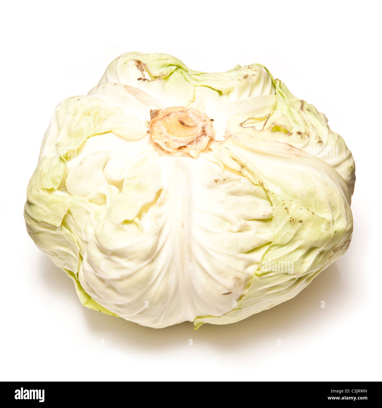 Turkish cabbage isolated on a white studio background Stock Photo - Alamy