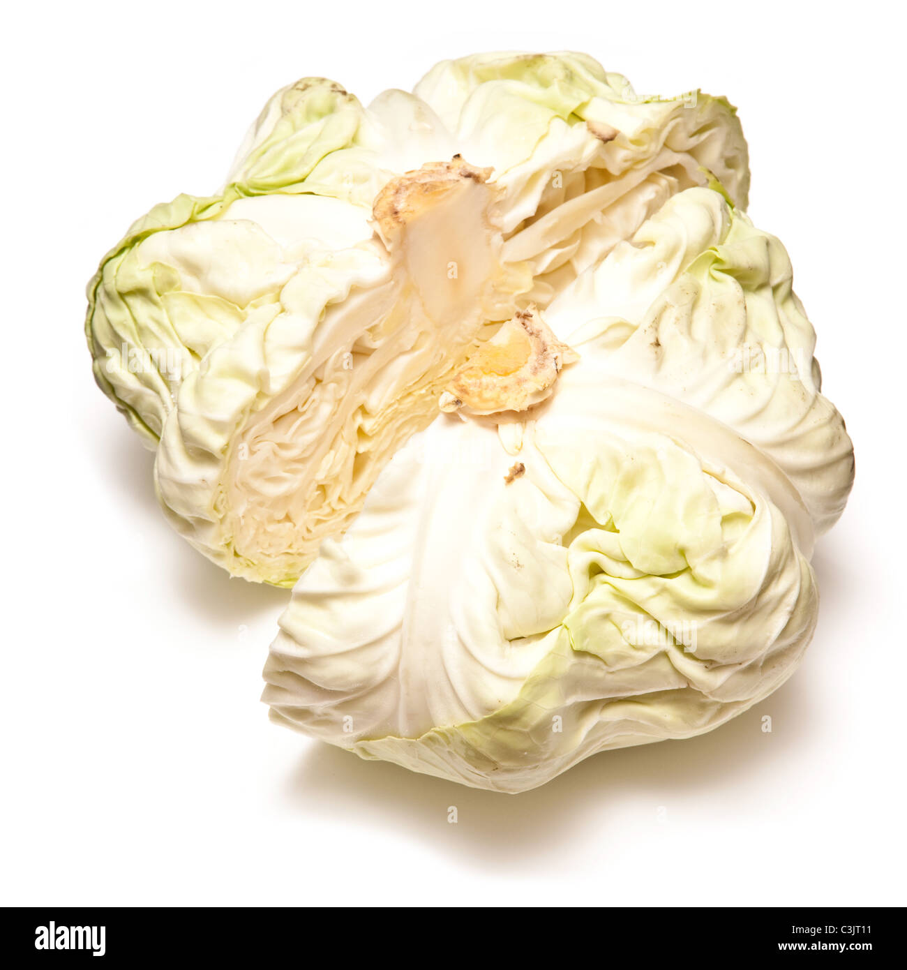 Turkish cabbage isolated on a white studio background Stock Photo - Alamy
