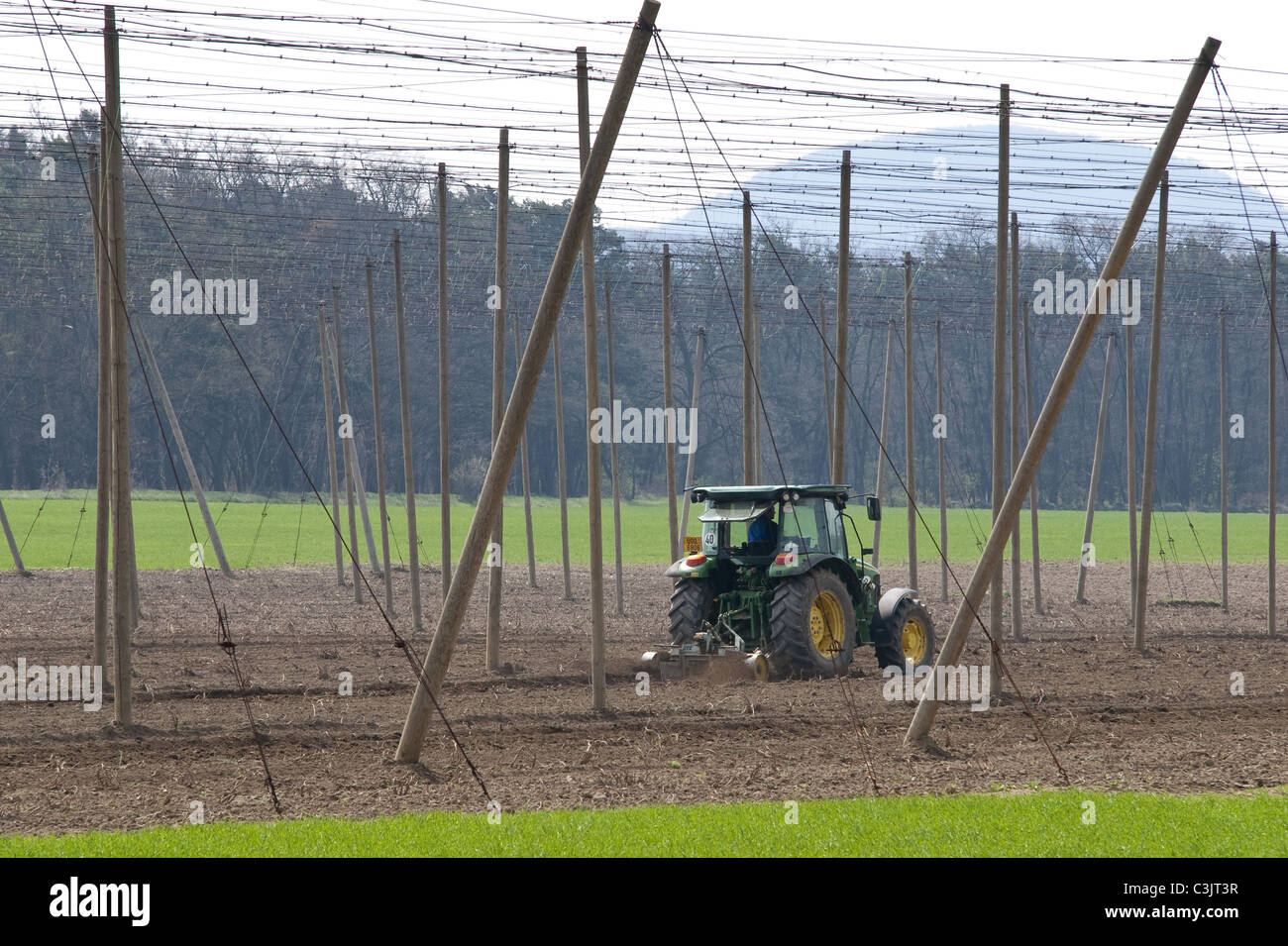 hop-field in April Stock Photo - Alamy