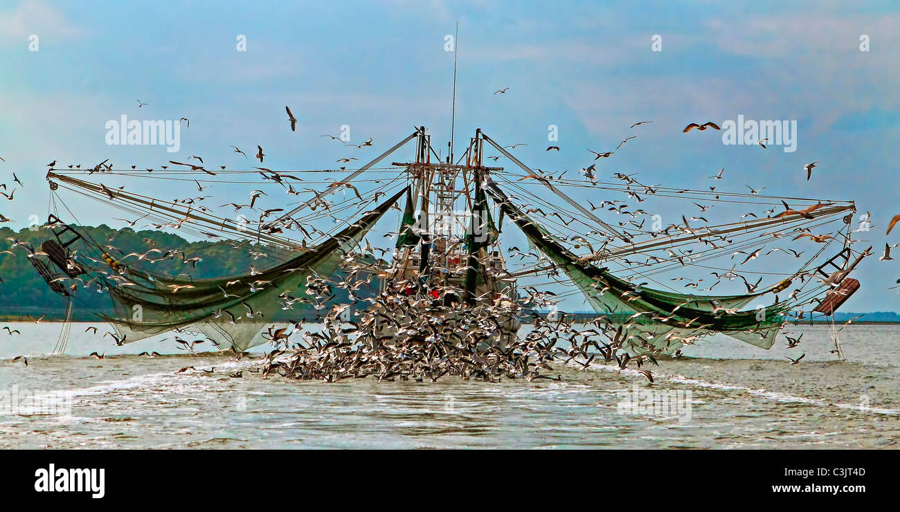 Shrimp fishing boats south carolina hi-res stock photography and images ...