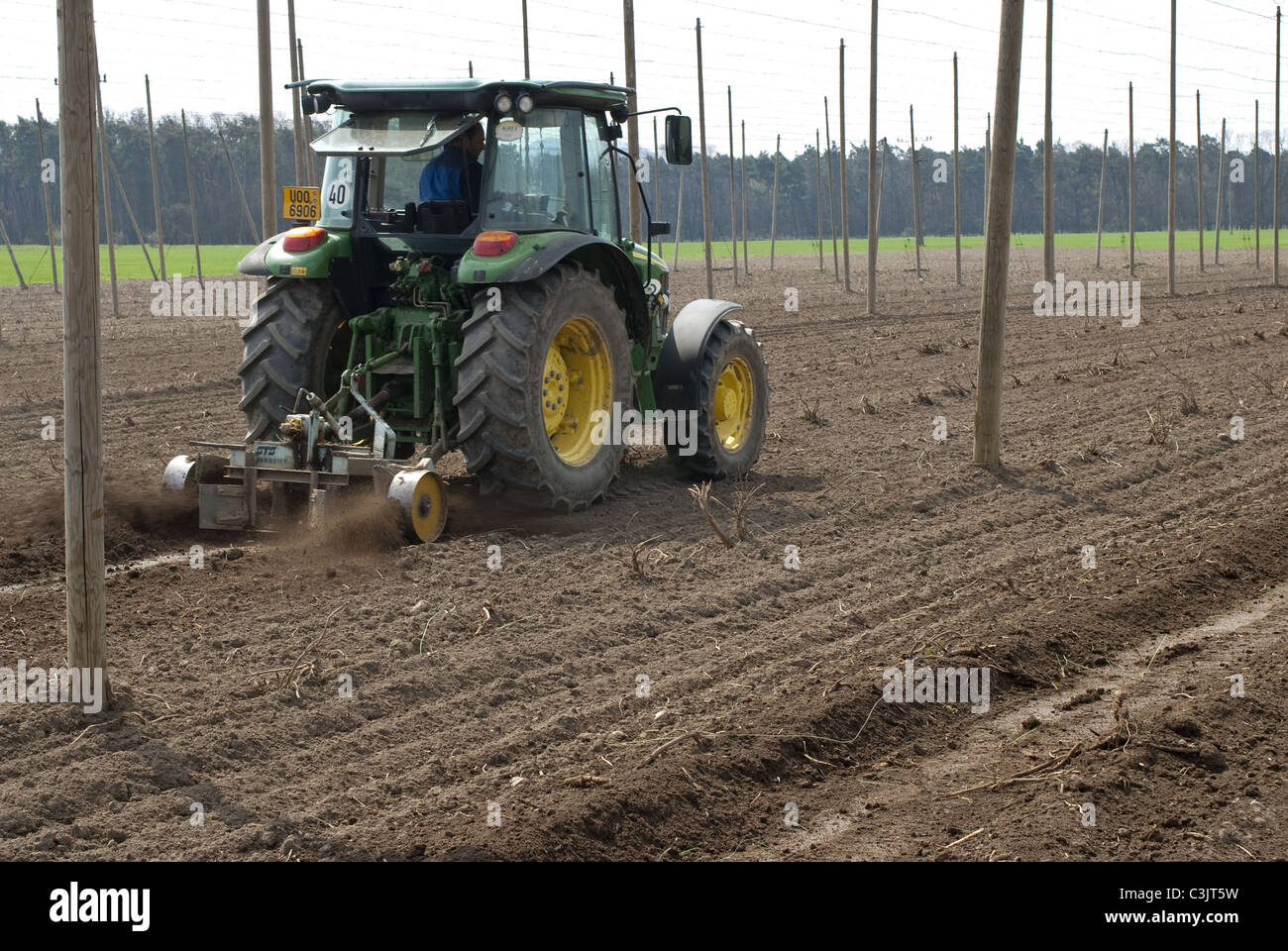 hop-field in April Stock Photo - Alamy