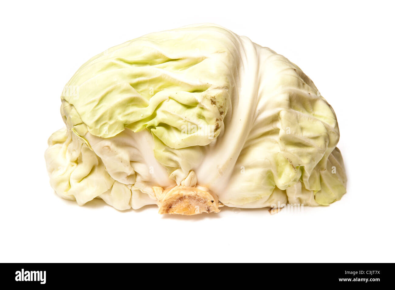 Turkish cabbage isolated on a white studio background Stock Photo - Alamy