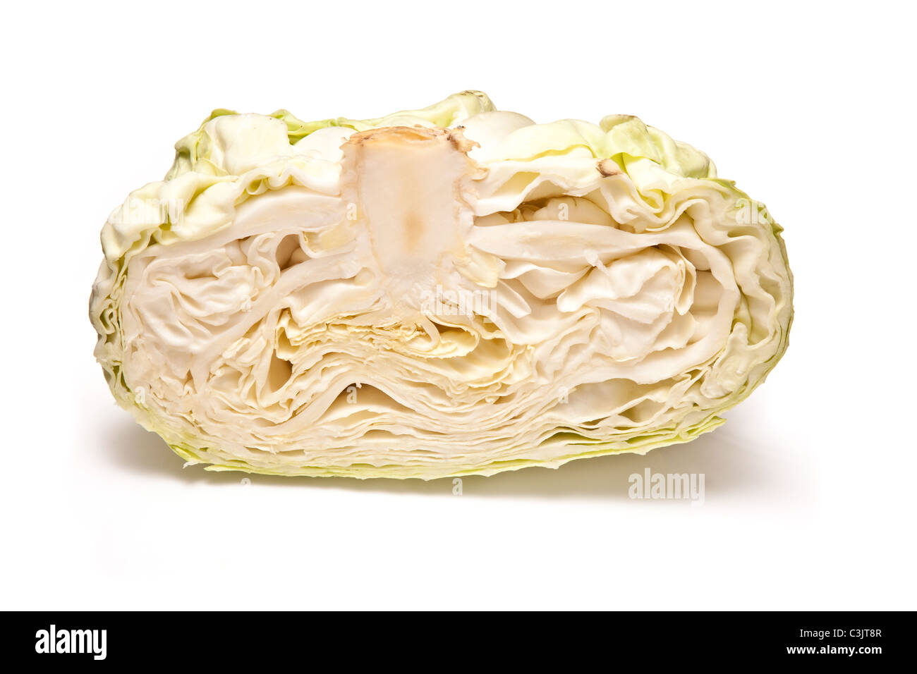 Turkish cabbage isolated on a white studio background Stock Photo - Alamy