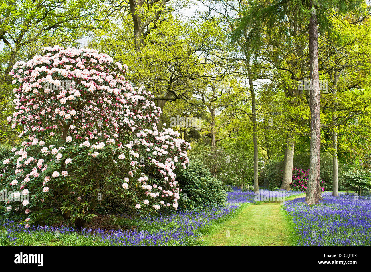 Bowood hi-res stock photography and images - Alamy