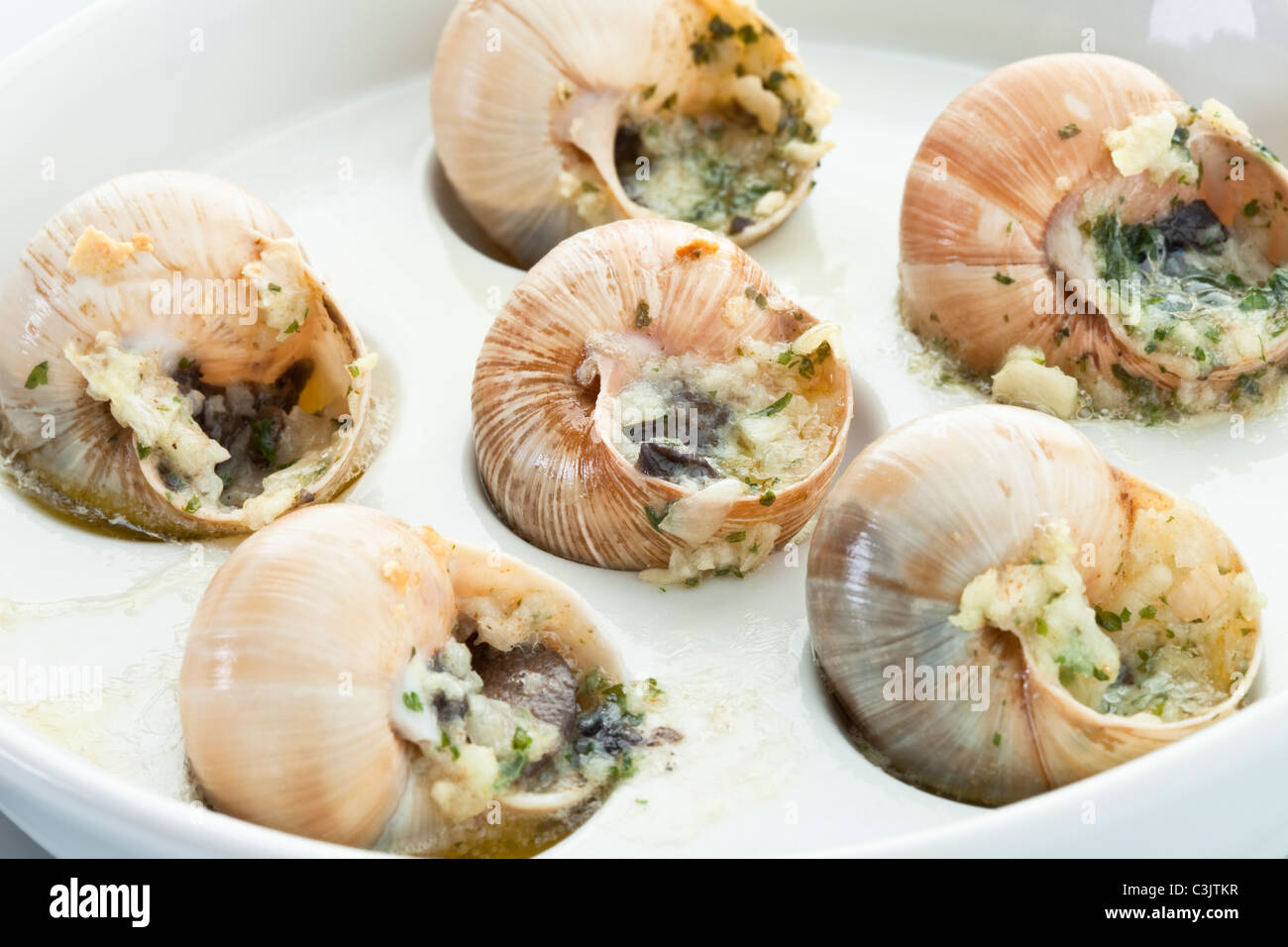 Cooked edible snails with garlic butter in bowl Stock Photo - Alamy