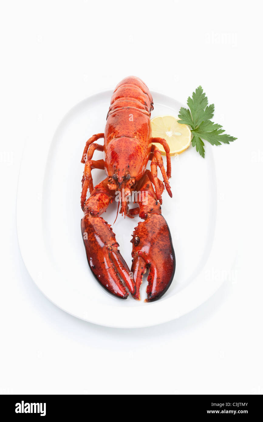 White plain plate on Cut Out Stock Images & Pictures - Alamy