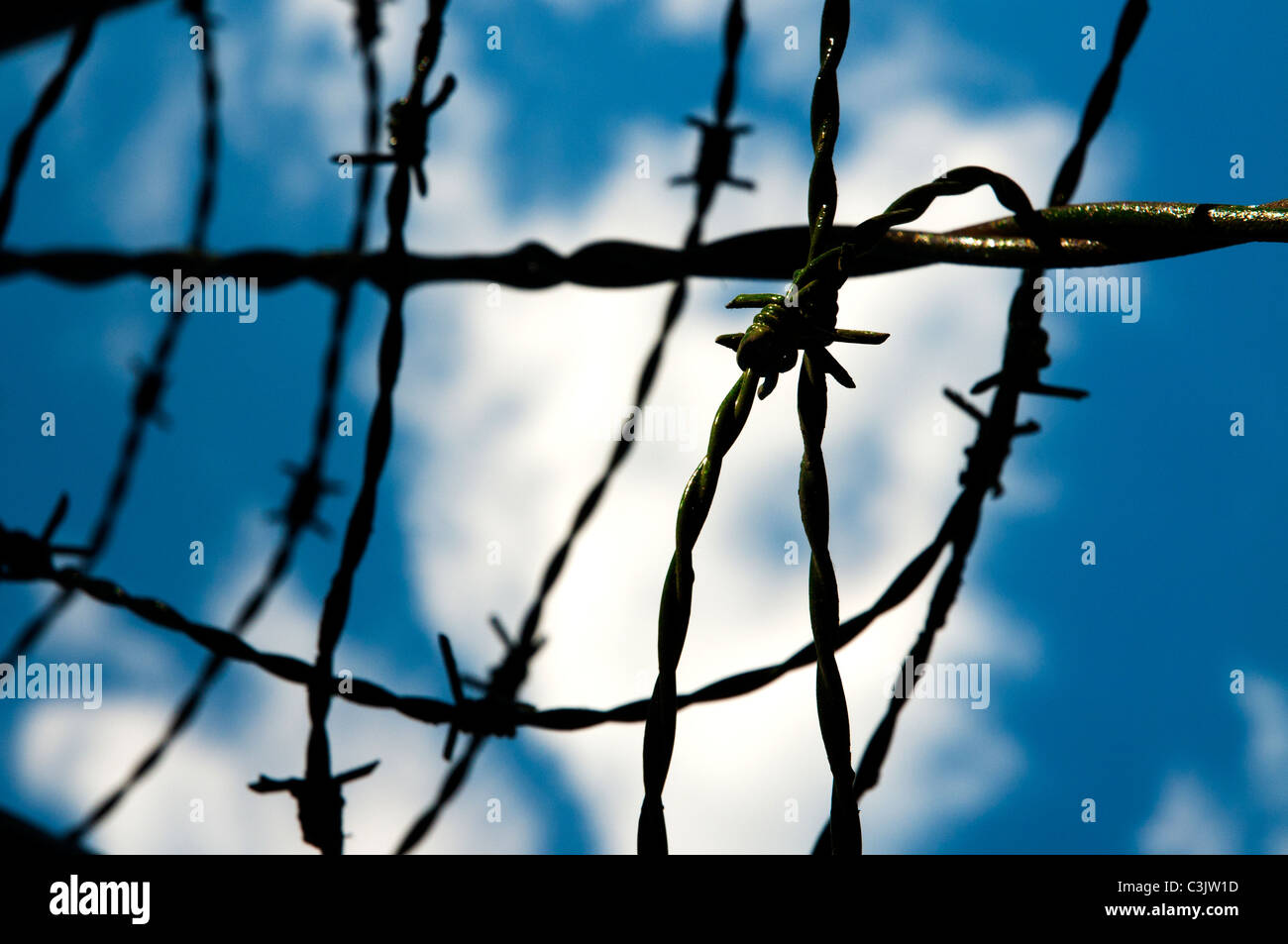 Barb barbed wire fence fencing hi-res stock photography and images - Alamy
