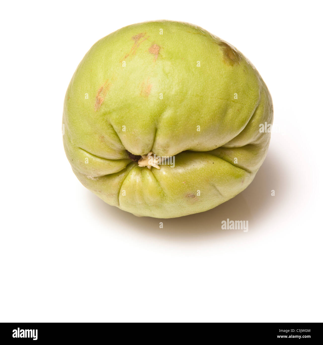 Chayote (Sechium edule) fruit also known as Chow Chow Cho-Cho or Cho ...