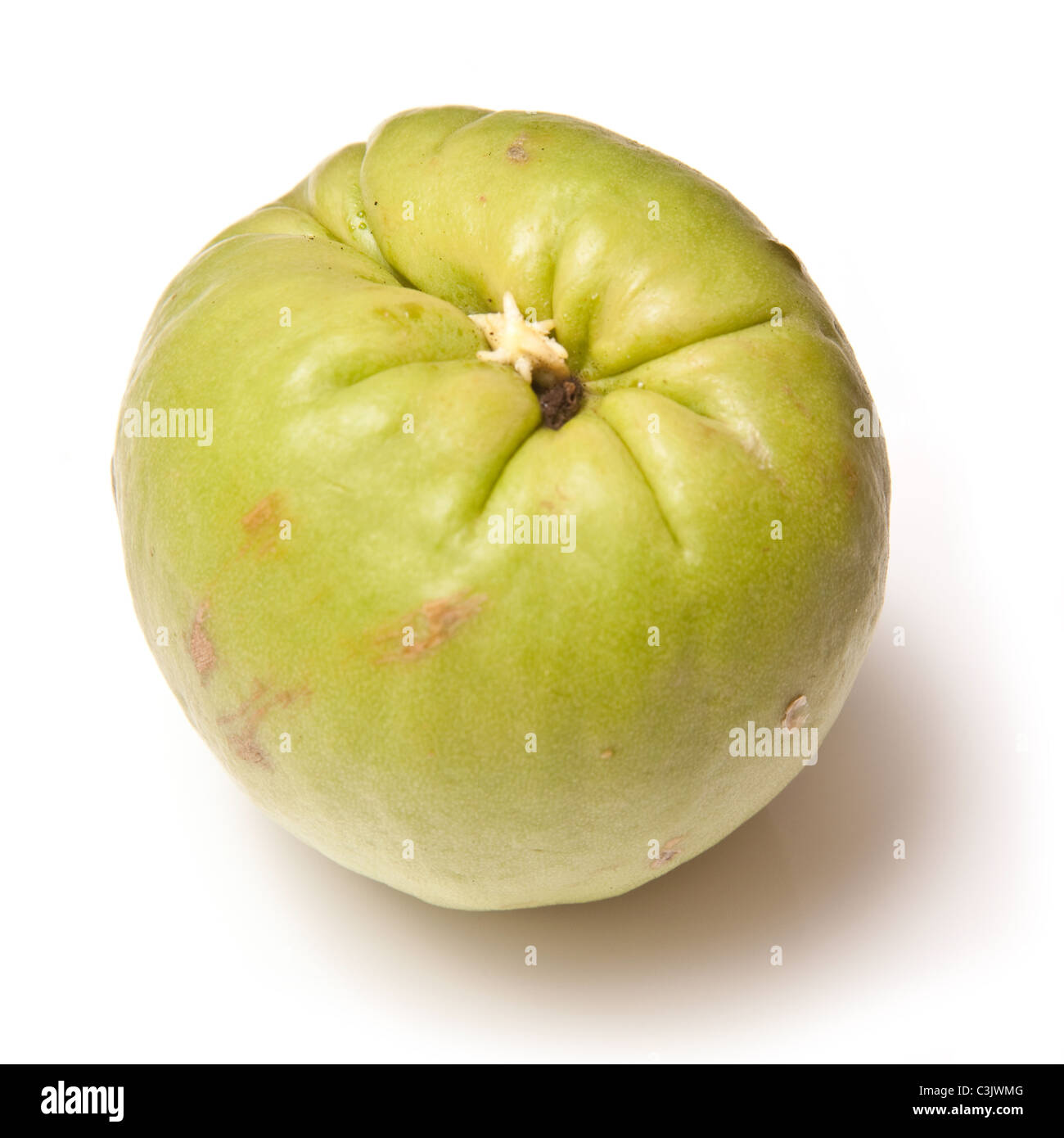 Chayote (Sechium edule) fruit also known as Chow Chow Cho-Cho or Cho ...