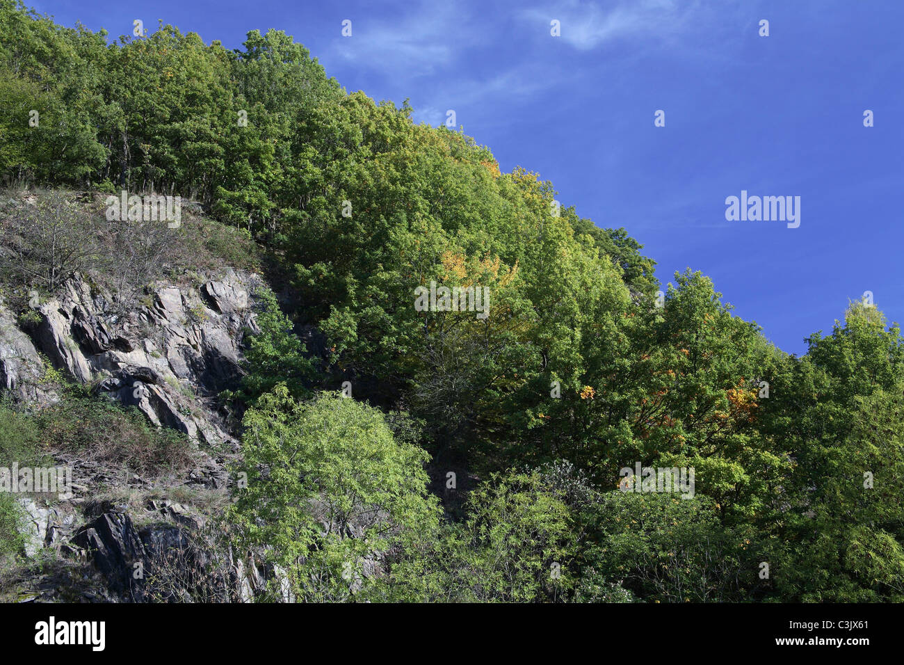 Rurberg hi-res stock photography and images - Alamy