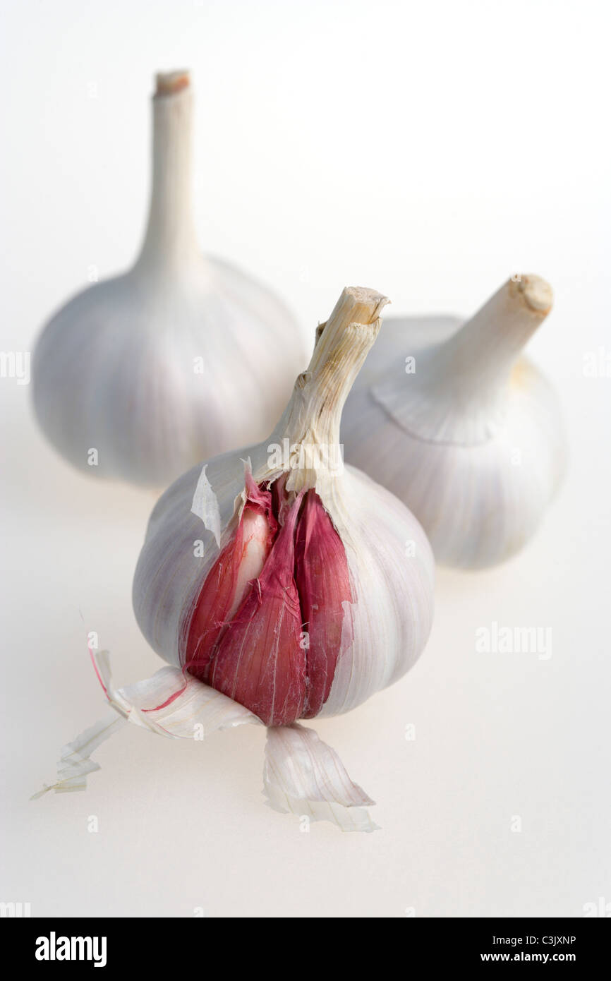 Three garlic bulbs on white background Stock Photo - Alamy