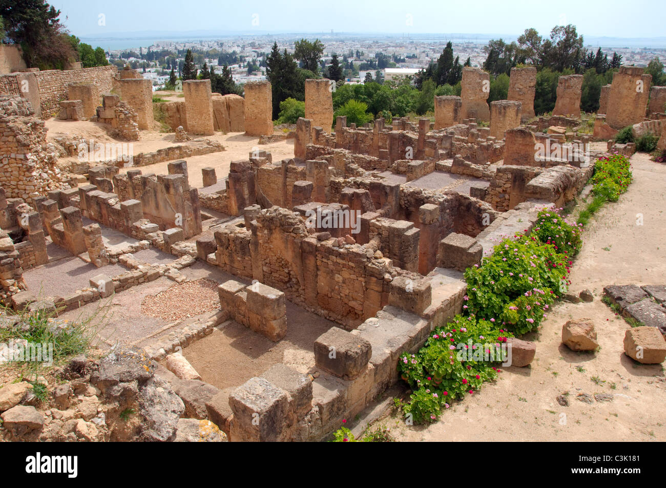 Ancient African Cities