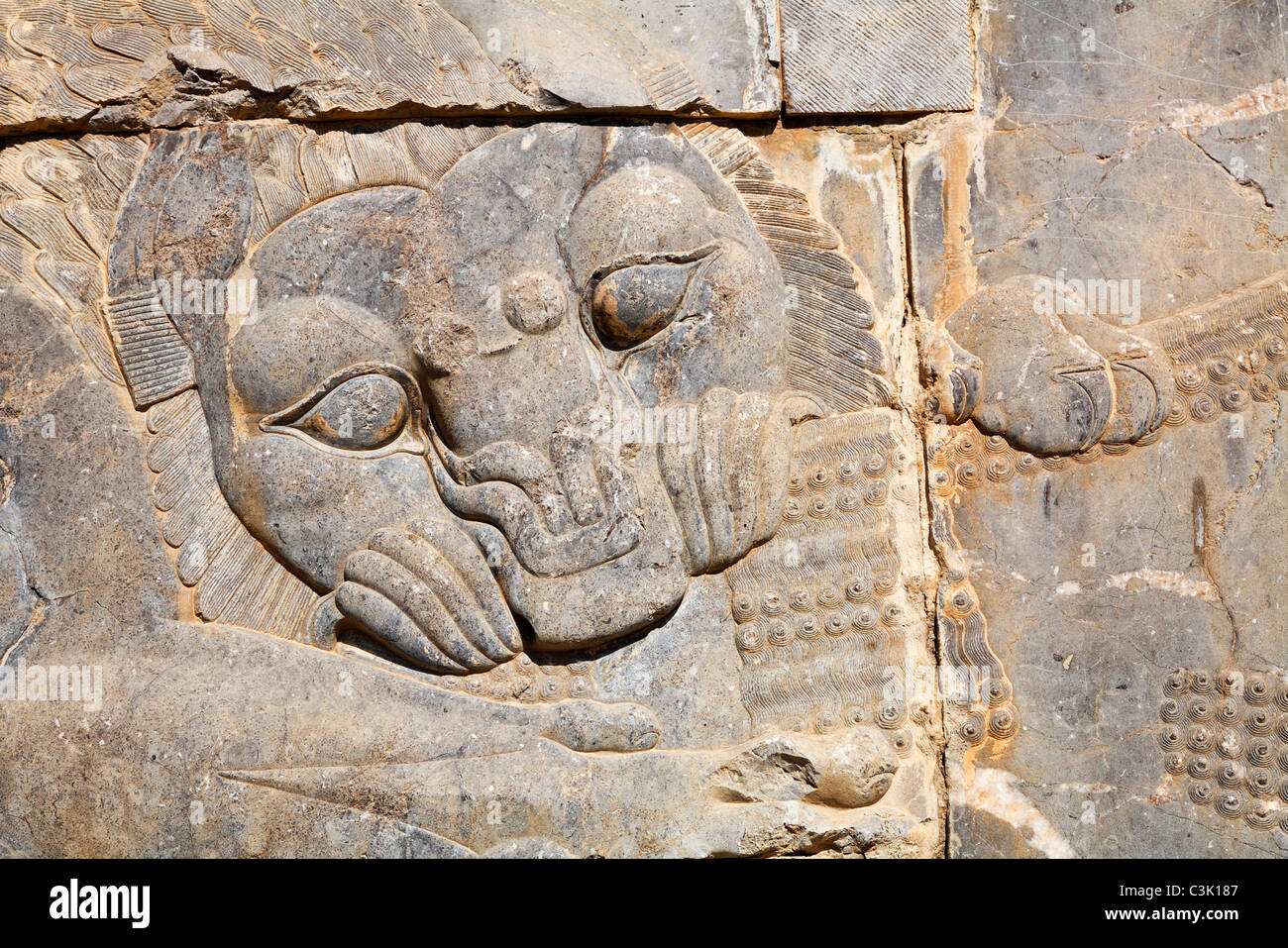 Bas relief of a hunting lion at Persepolis, Iran Stock Photo - Alamy