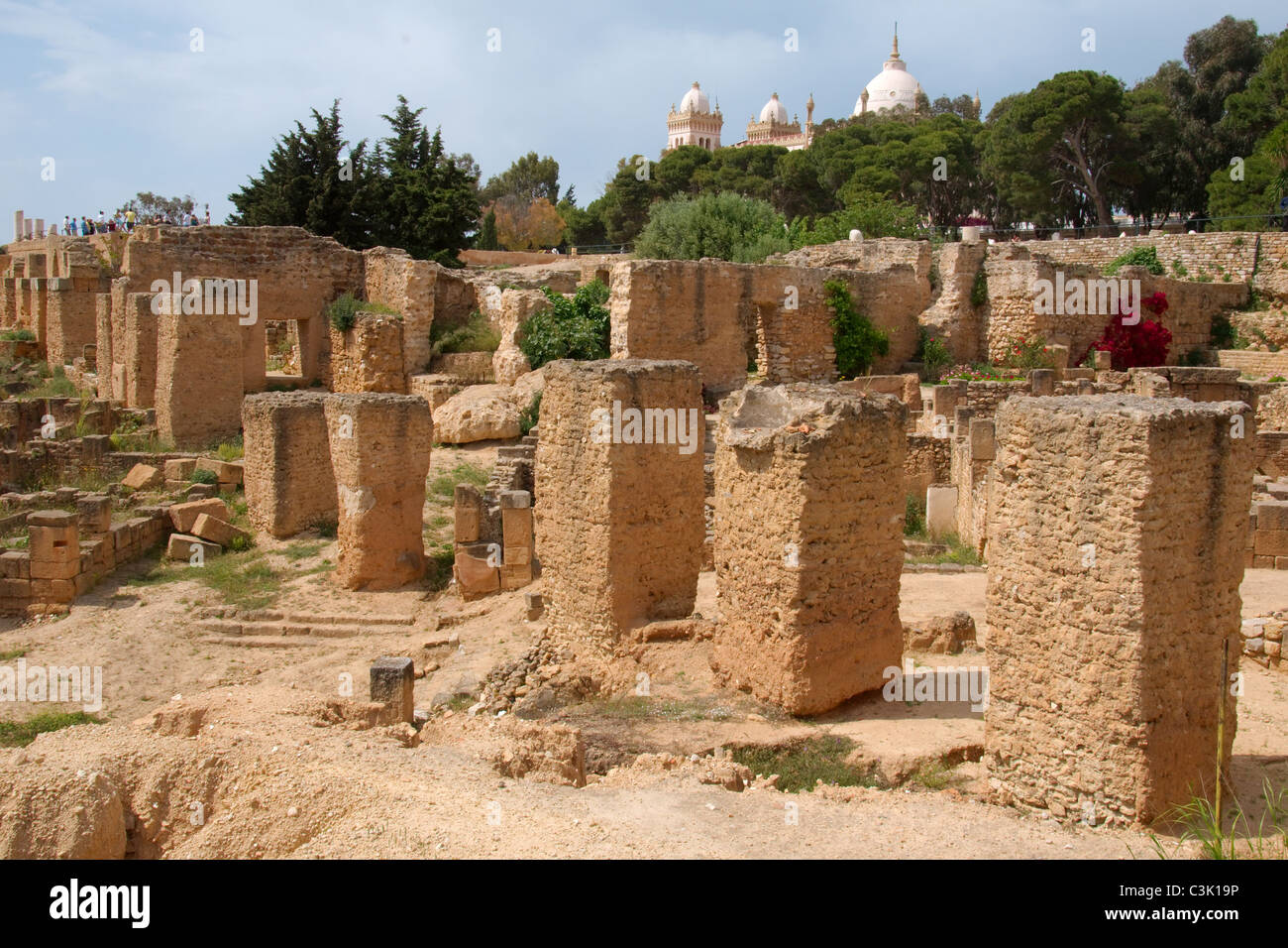 Ancient Carthage, antique city, Tunisia, Africa Stock Photo - Alamy