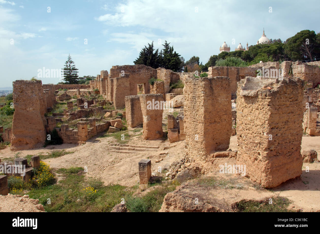 Ancient Carthage, antique city, Tunisia, Africa Stock Photo - Alamy