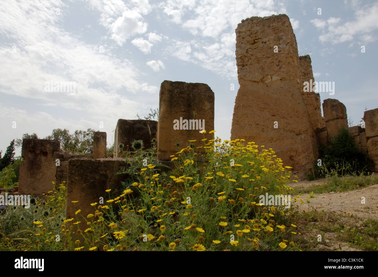 Ancient Carthage, antique city, Tunisia, Africa Stock Photo - Alamy
