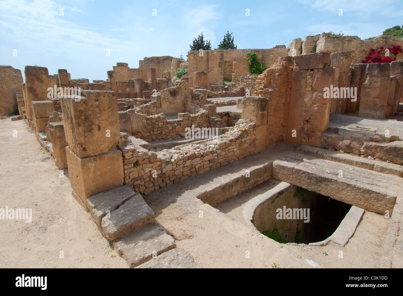 Ancient Carthage, antique city, Tunisia, Africa Stock Photo - Alamy