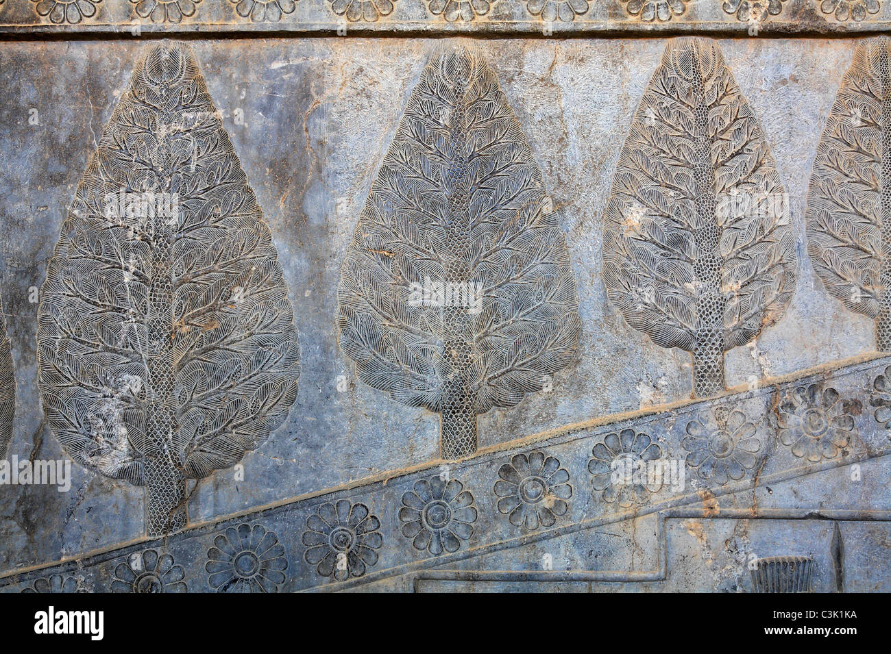 Carved bas reliefs depicting cedar trees, Persepolis, Iran Stock Photo ...