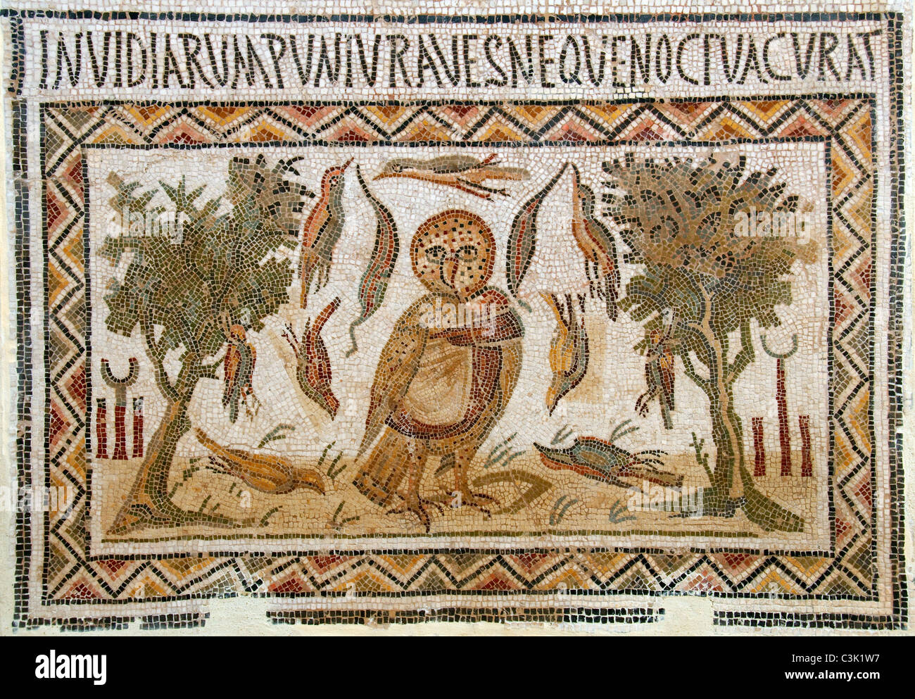 Roman mosaic, Ancient Carthage, antique city, Tunisia, Africa Stock ...