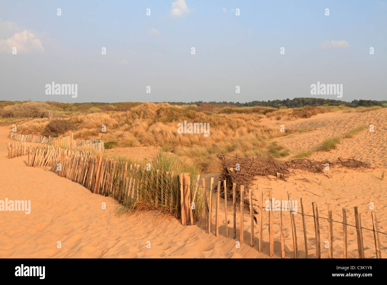 Sand dunes and fencing Formby Point near Southport, Merseyside ...