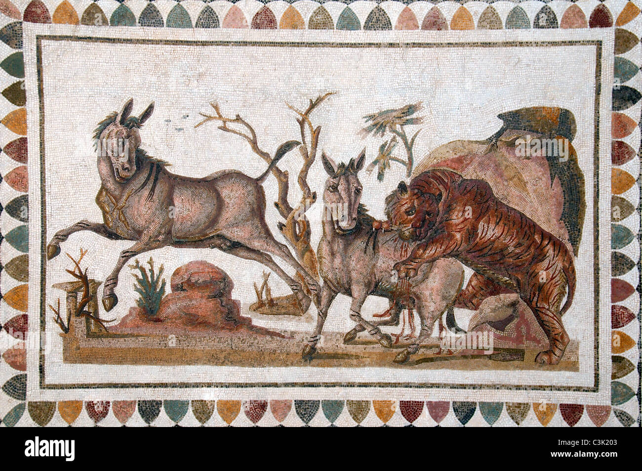 Roman mosaic, Ancient Carthage, antique city, Tunisia, Africa Stock ...