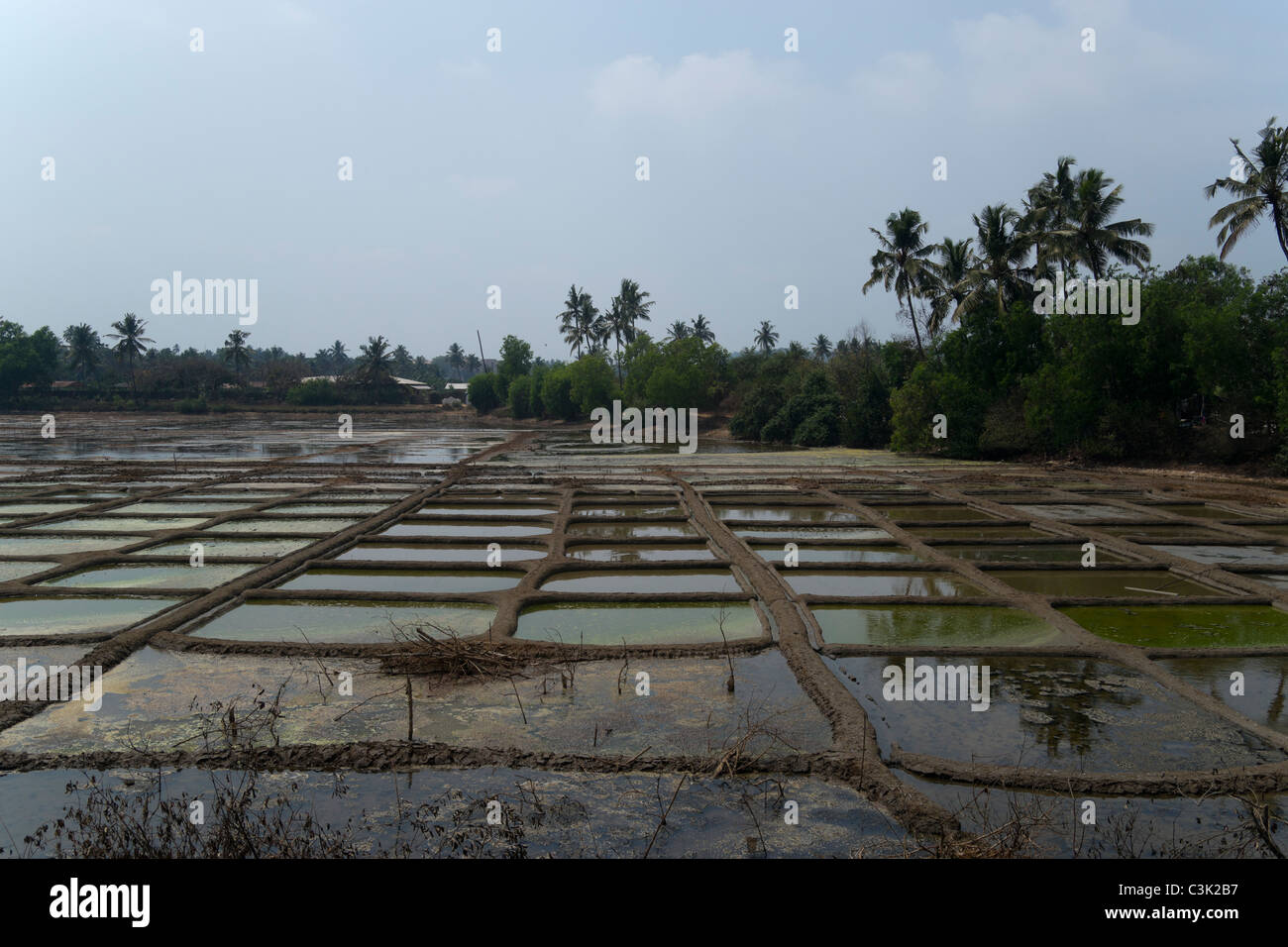Salt pans goa india hi-res stock photography and images - Alamy