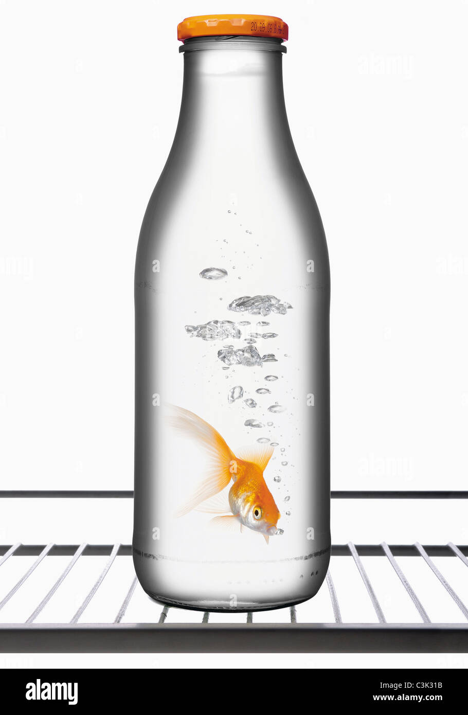 Goldfish in glass bottle hi-res stock photography and images - Alamy