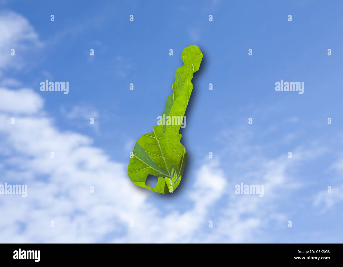 Blue sky and leaf key Stock Photo - Alamy