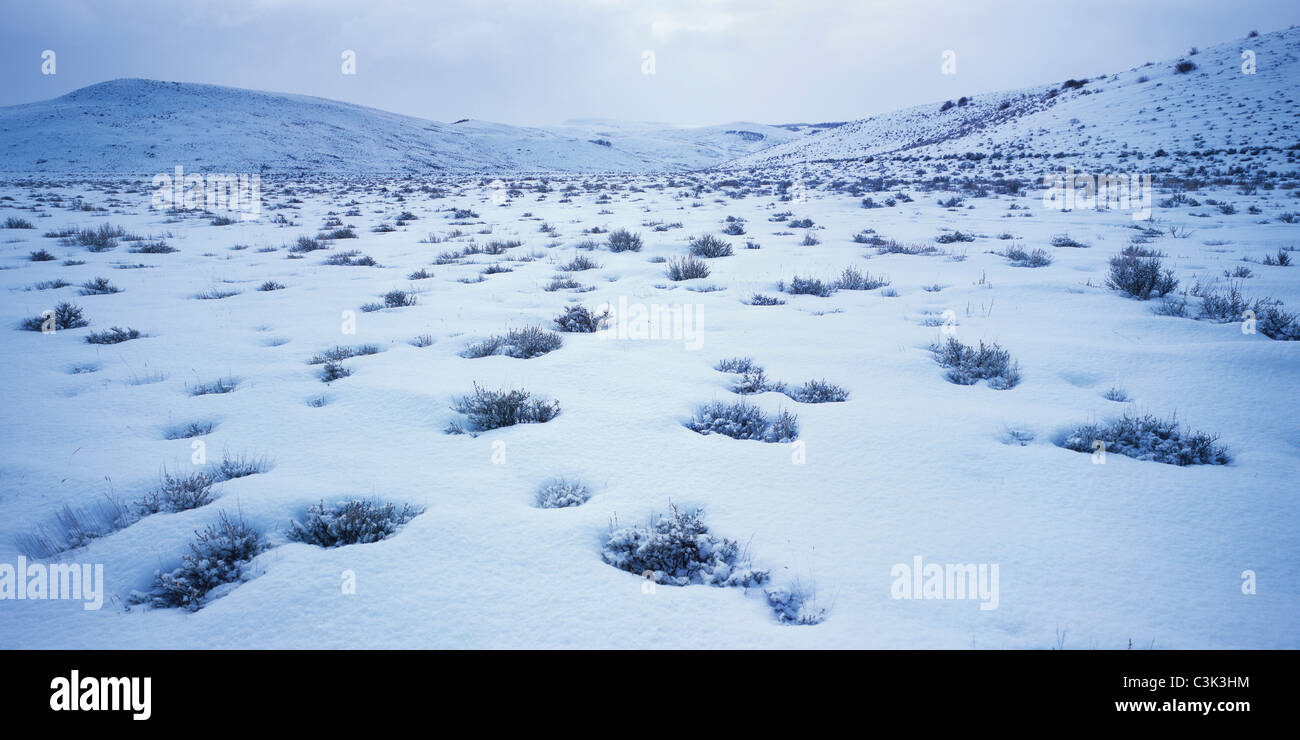 Canada, View of snowy landscape Stock Photo - Alamy