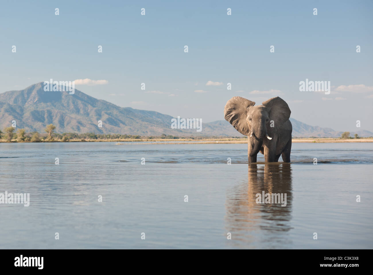 Mana Pools National Park Zimbabwe High Resolution Stock Photography and ...