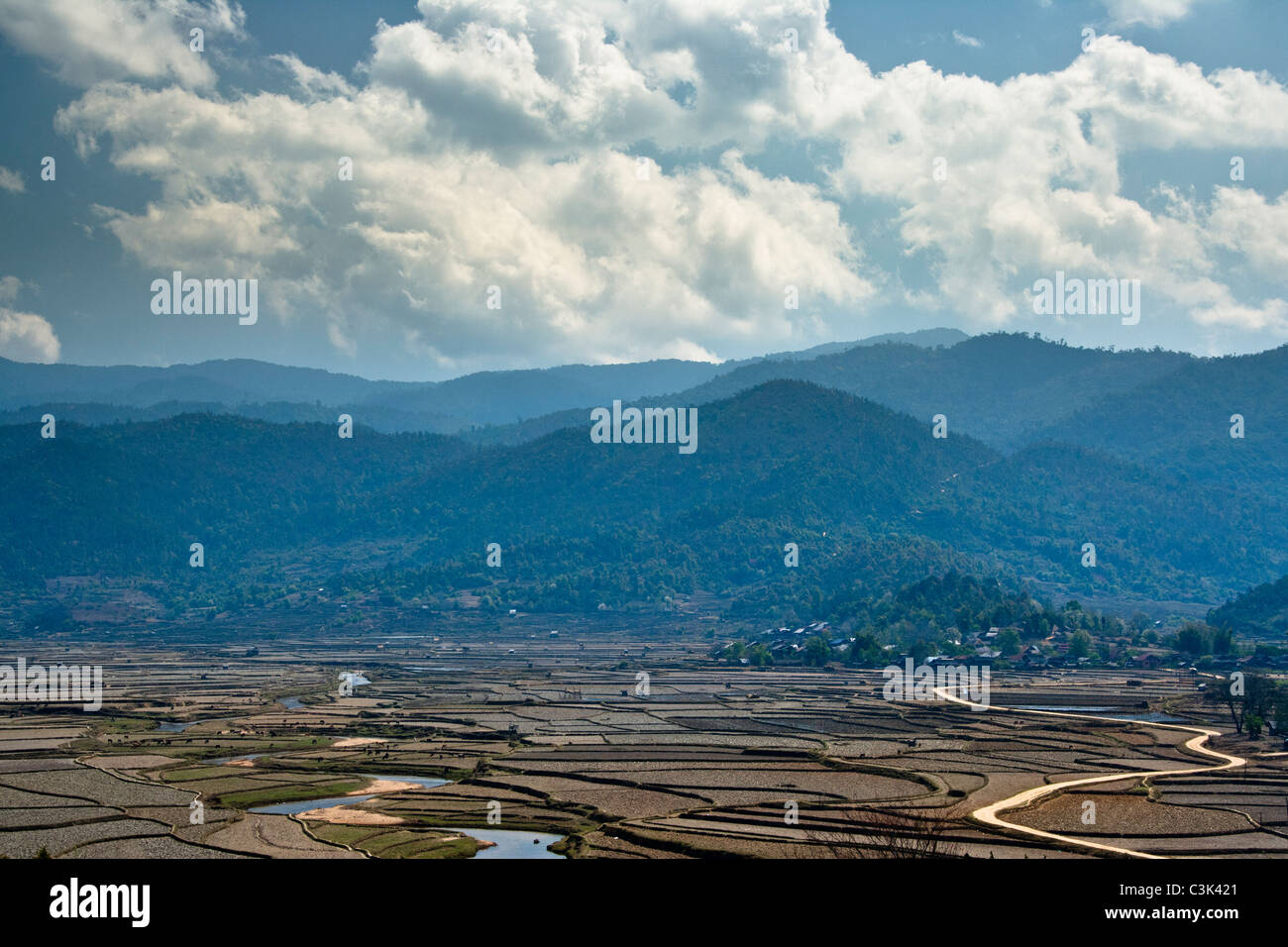 Rice paddies in laos hi-res stock photography and images - Alamy