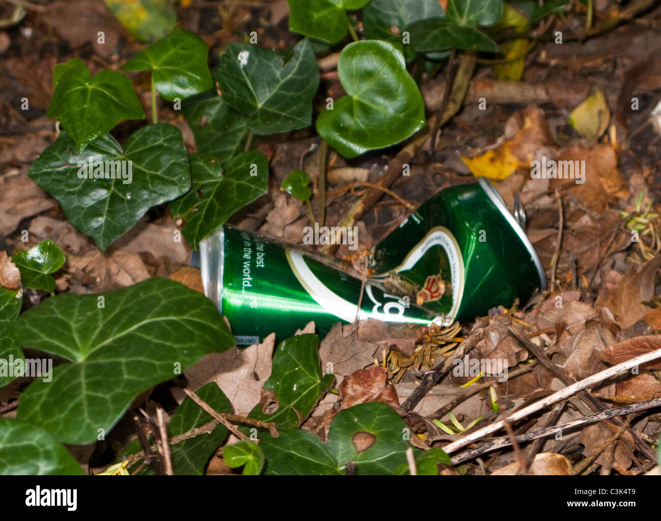 Discarded beer can littering the countryside Stock Photo - Alamy
