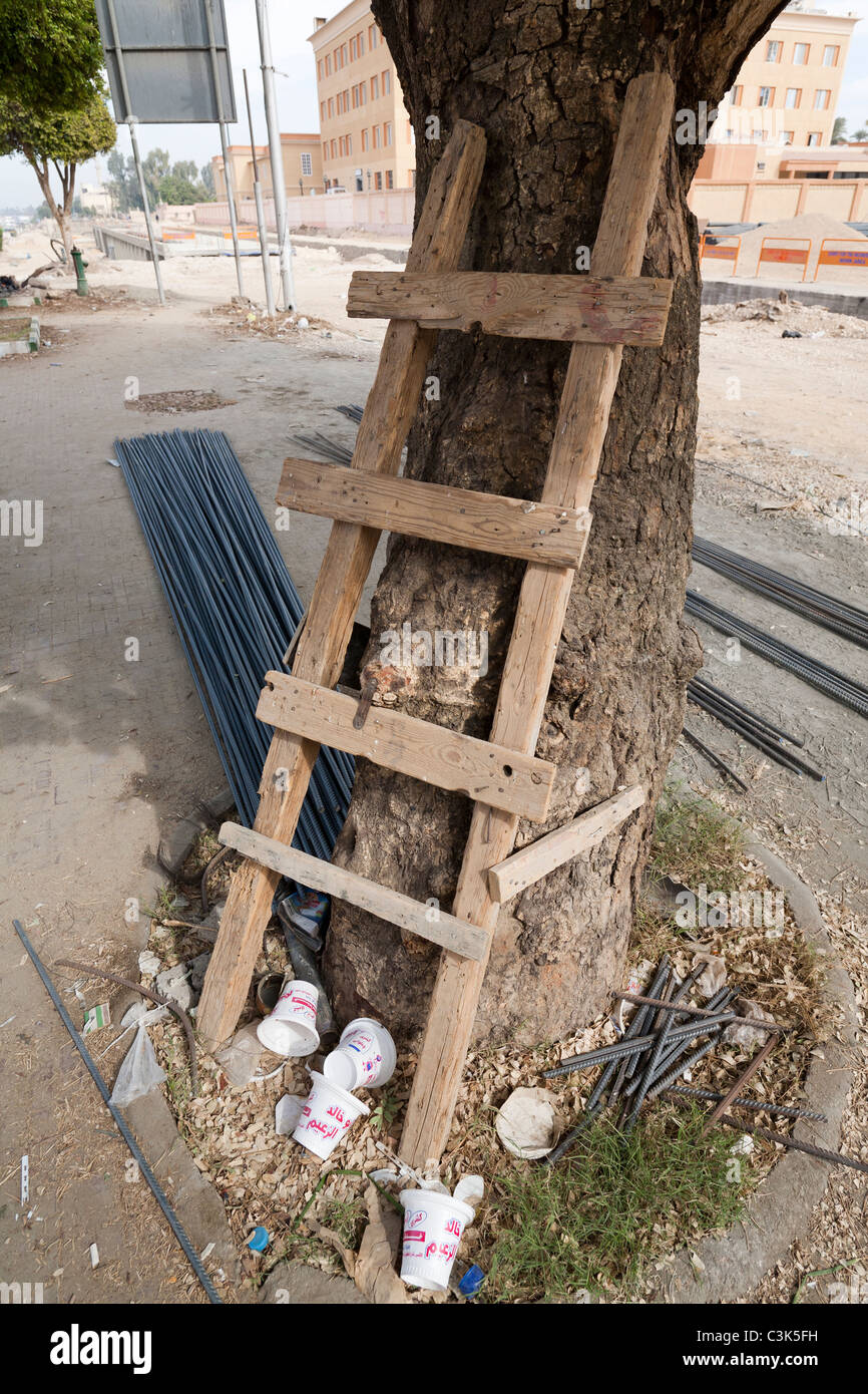 Home made ladder against a tree by renovations and modernisation work ...