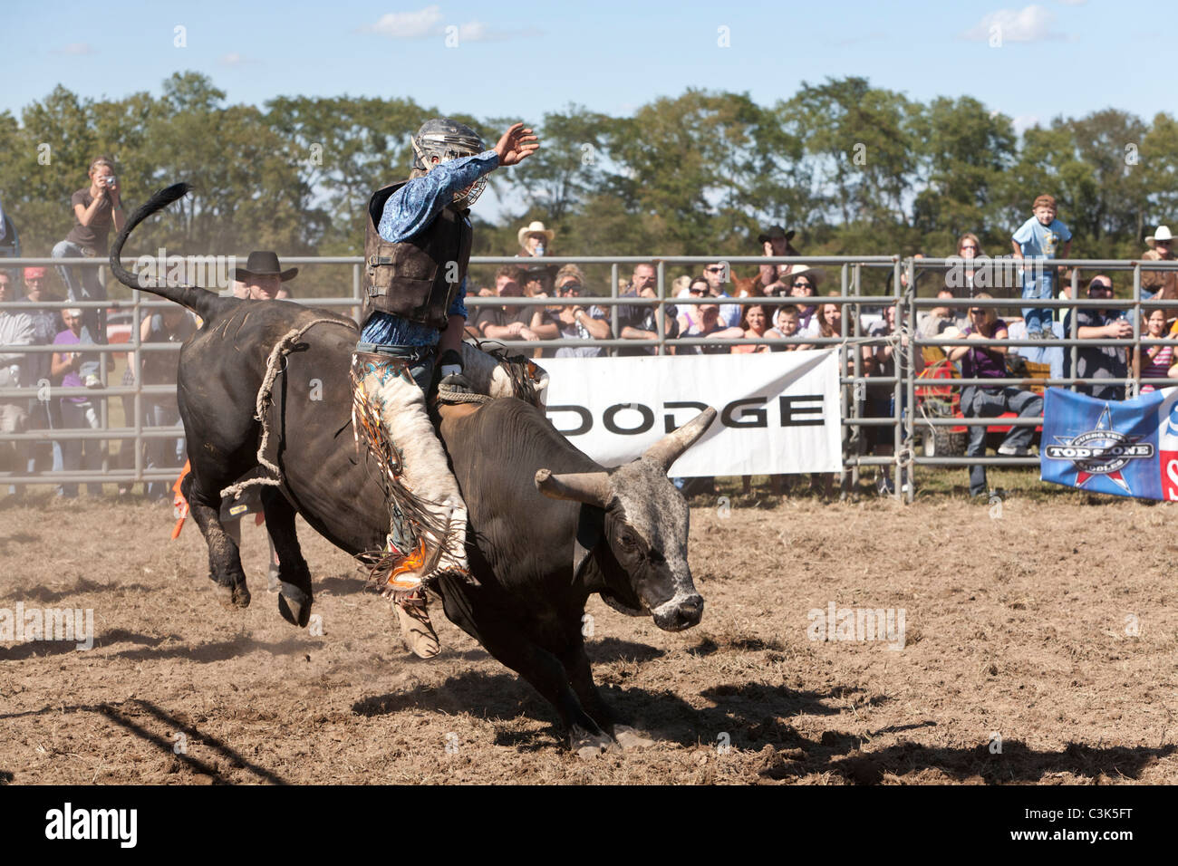 Cowboy riding bull Stock Photo - Alamy