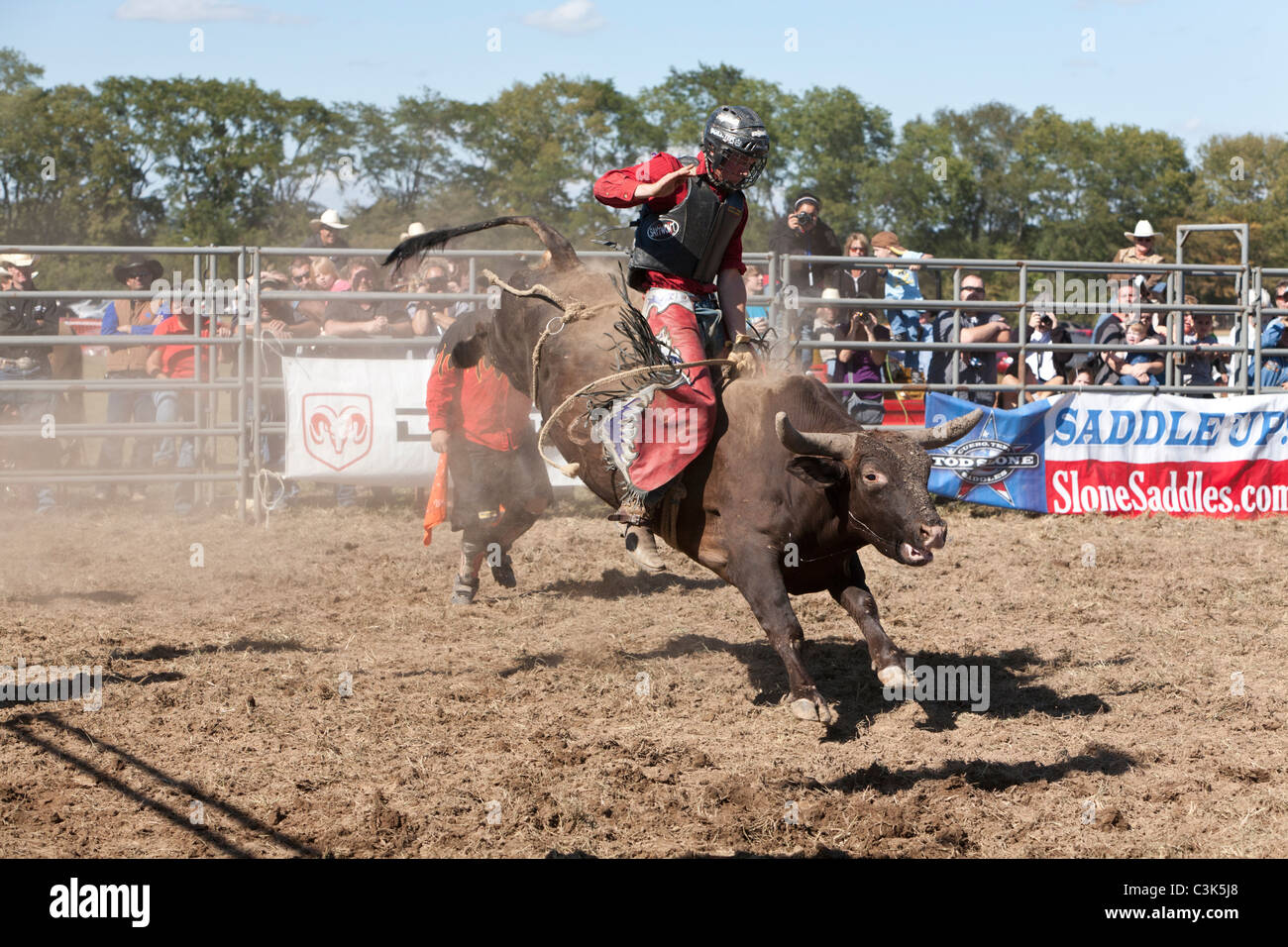 Cowboy riding a bull Stock Photo - Alamy