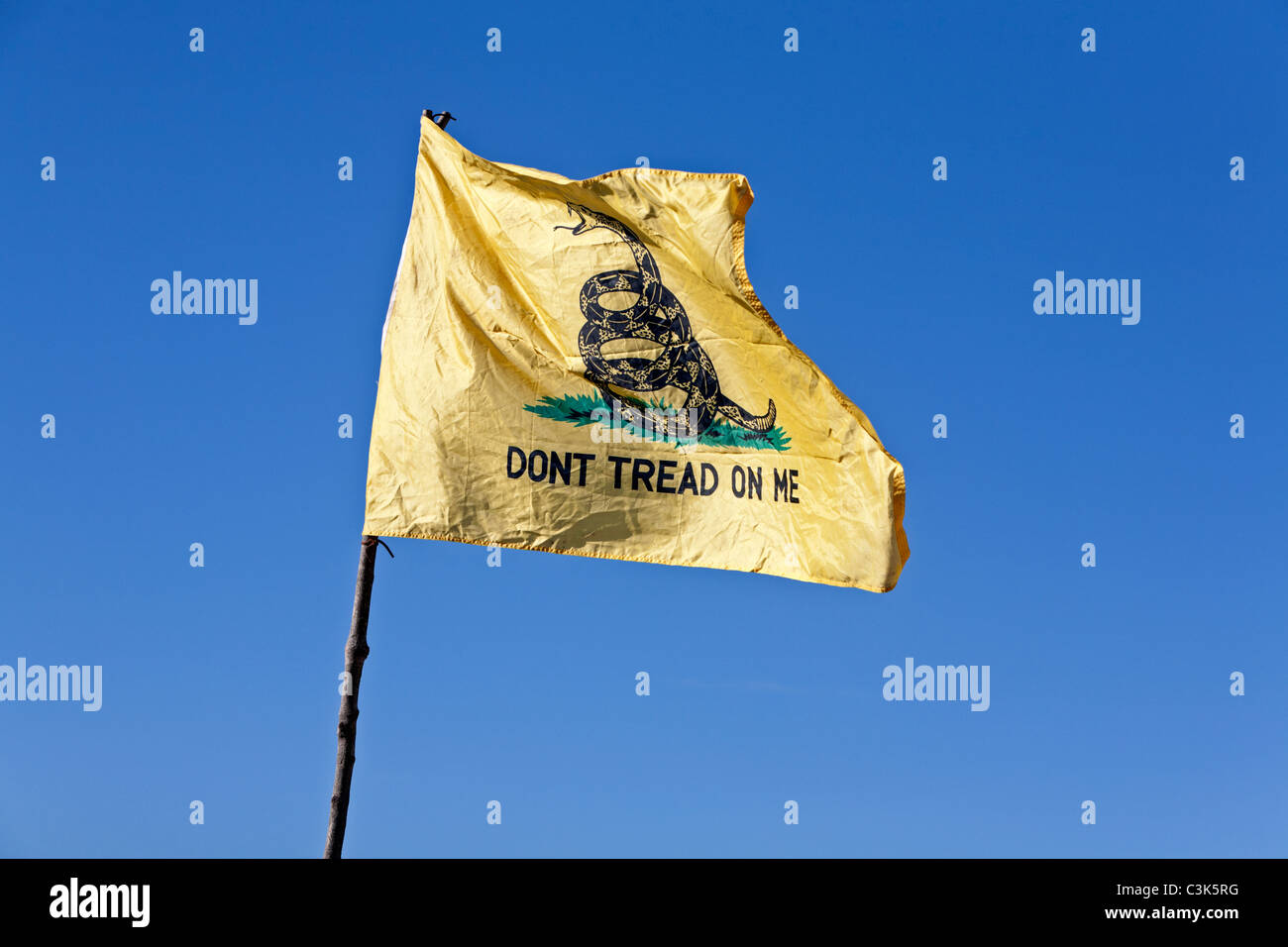American rattlesnake flag hi-res stock photography and images - Alamy
