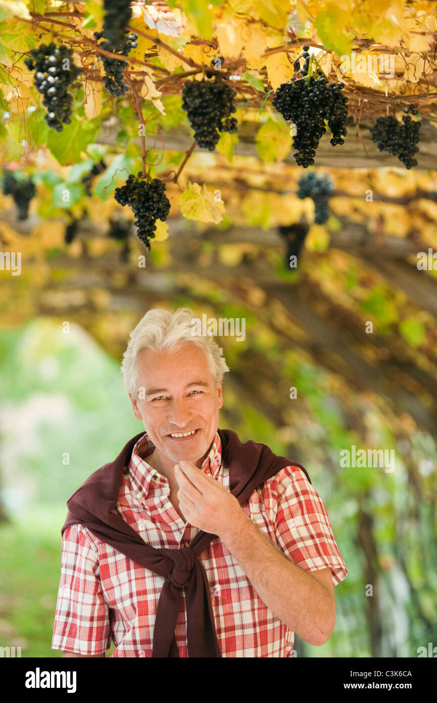 Italy, South Tyrol, Mature man standing at grape vine, smiling ...